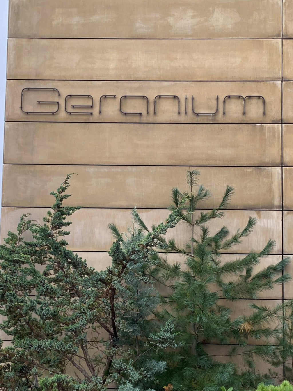 𝗩𝗲𝗿𝗱𝗲𝗻𝘀 𝗯𝗲𝗱𝘀𝘁𝗲 𝗿𝗲𝘀𝘁𝗮𝘂𝗿𝗮𝗻𝘁 𝗱æ𝗸𝗸𝗲𝗿 𝗼𝗽 … – Cappa vin