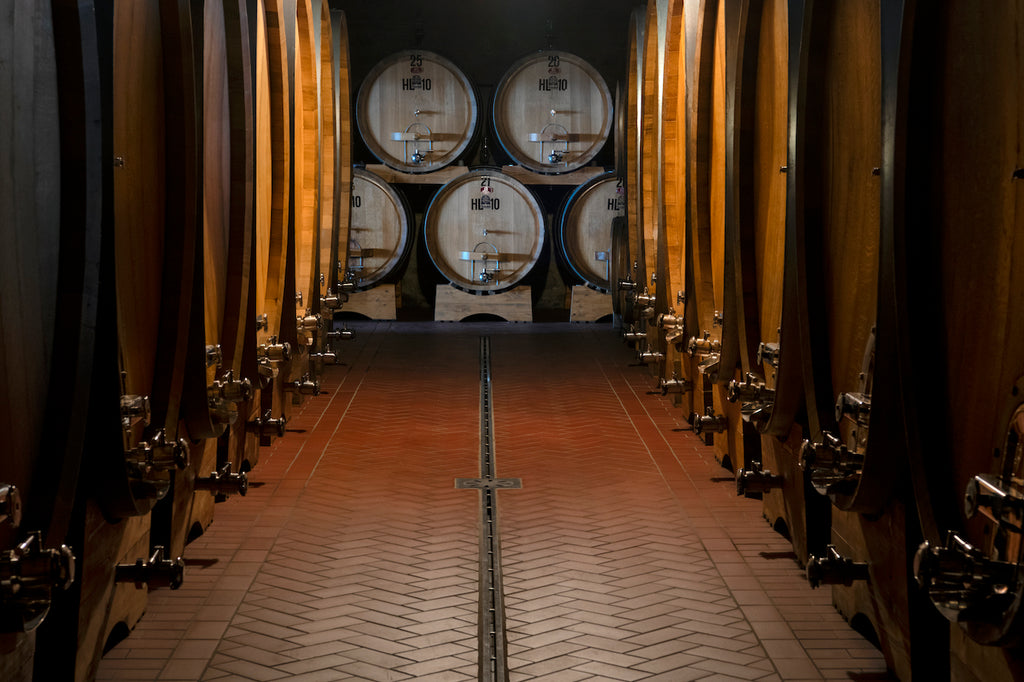 BRUNELLO DI MONTALCINO FATTOI 2017 – Cappa vin